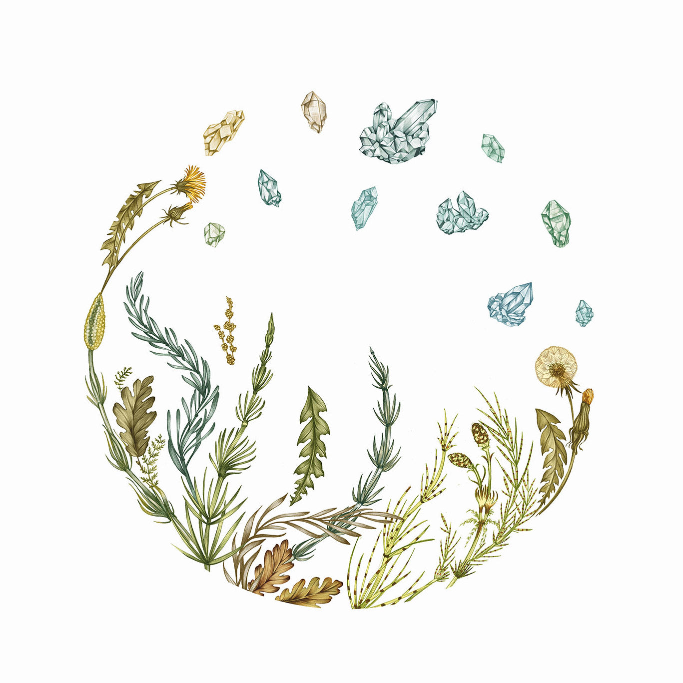 Living Elements Collection – L I N N A
