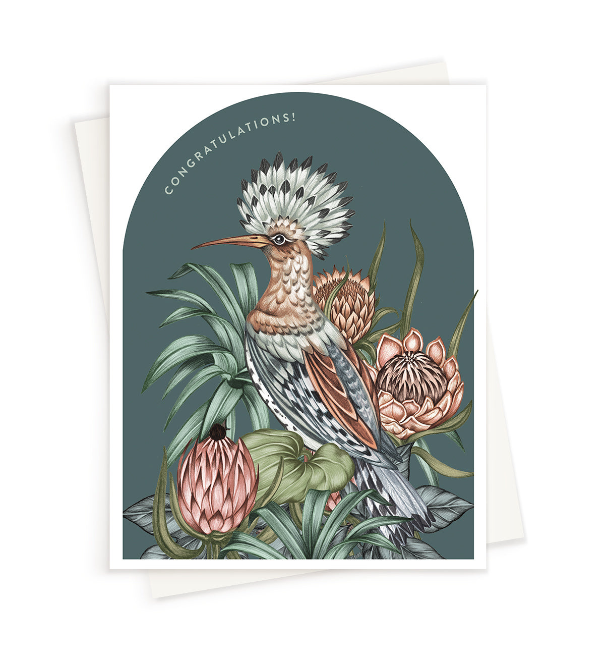 Hoopoe Bird Congratulations Card – L I N N A
