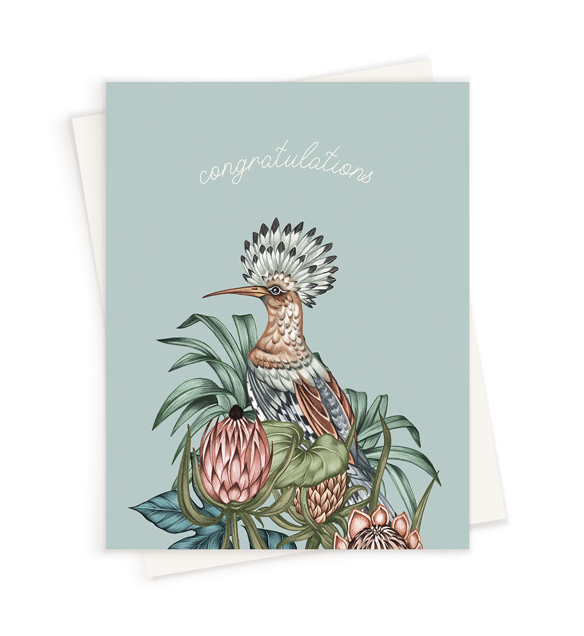 Congratulations | Hoopoe Bird | Greeting Card – L I N N A